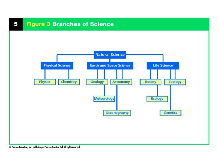 Chapter 1 Science Skills What is Science Using