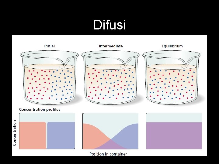 AIR DAN SEL TUMBUHAN ISMAIL SALEH Pendahuluan Air