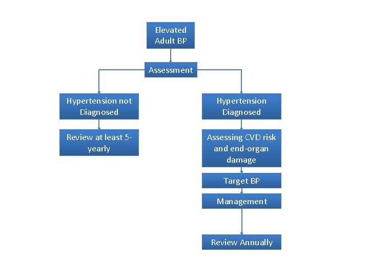 Primary Care Hypertension Pathway Elevated Adult BP Assessment