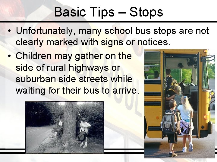 Sharing the Road with School Buses A TenMinute