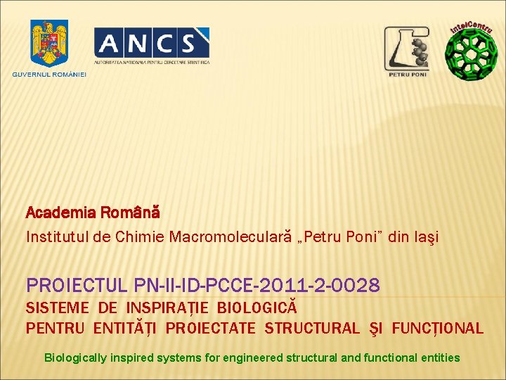 Academia Romn Institutul de Chimie Macromolecular Petru Poni
