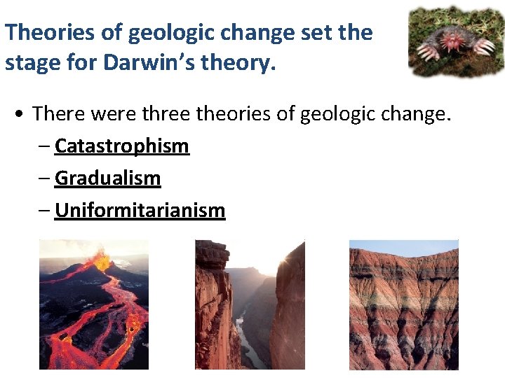 Principles of Evolution SB 5 Students will evaluate