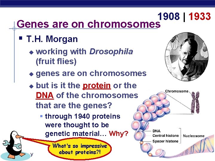 History of DNA The Genetic Material AP Biology