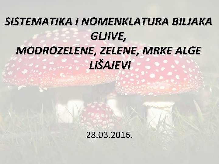 SISTEMATIKA I NOMENKLATURA BILJAKA GLJIVE MODROZELENE MRKE ALGE