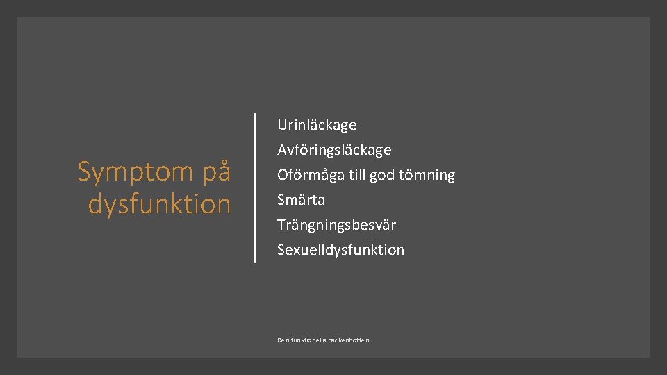 Den funktionella bckenbotten Funktion dysfunktion och rehabilitering Helena