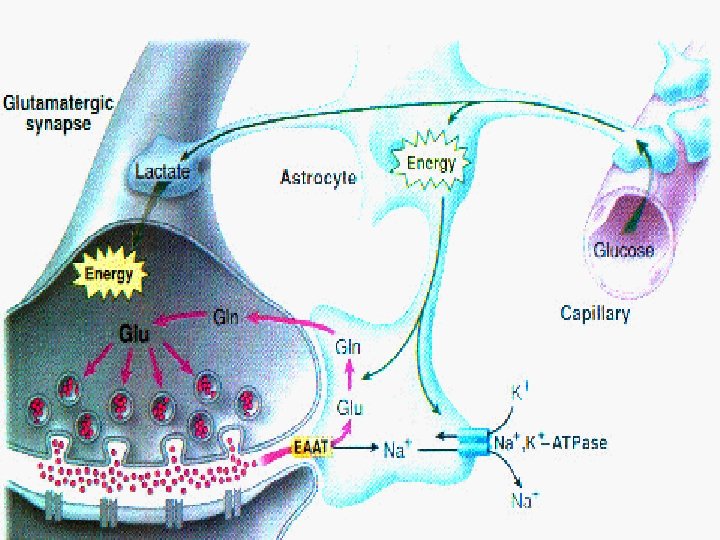How to Make HEG Work What is HEG
