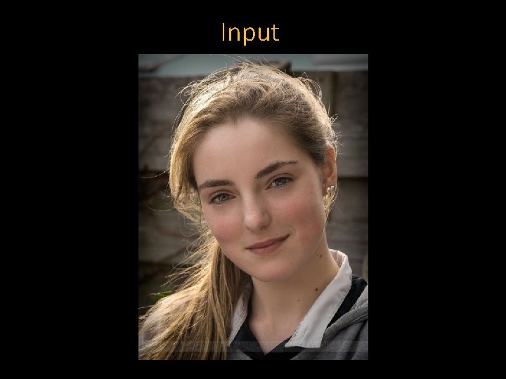 Deep Automatic Portrait Matting Xiaoyong Shen Xin Tao