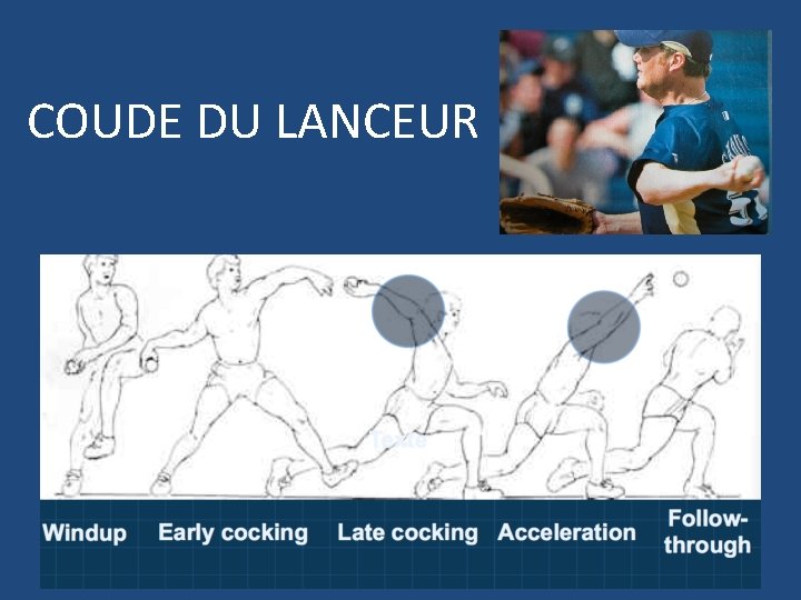 ANATOMIE ET FONCTION DU COUDE X NICOLAY ALS