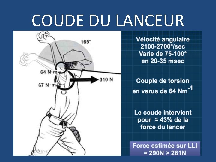 ANATOMIE ET FONCTION DU COUDE X NICOLAY ALS