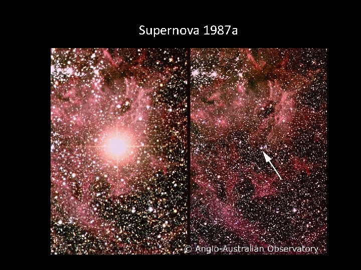 The Death of Massive Stars What about the