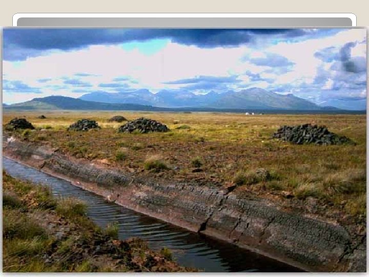 Using our Peat Bogs Mr Boland Geography The