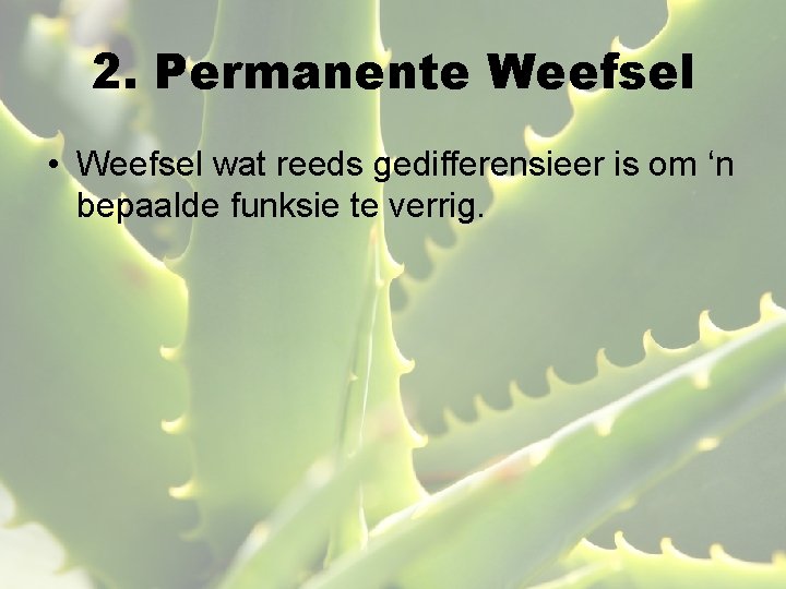 Plantweefsels Lewenswetenskappe Graad 10 J Oliphant Plantweefself 1