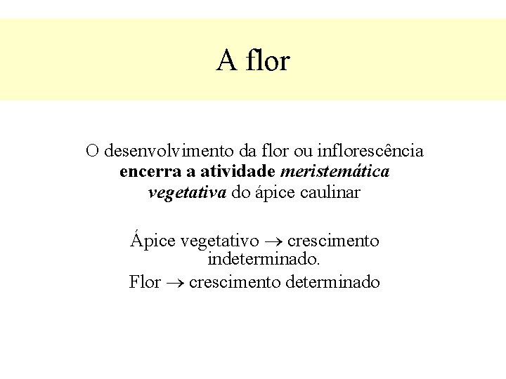 Folhas e Flores estrutura morfologia e adaptaes parte