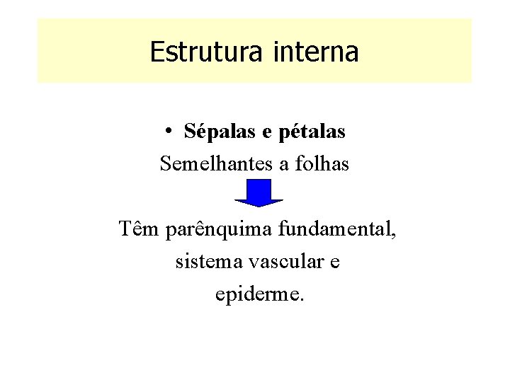Folhas e Flores estrutura morfologia e adaptaes parte