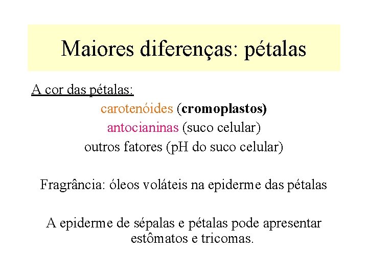 Folhas e Flores estrutura morfologia e adaptaes parte