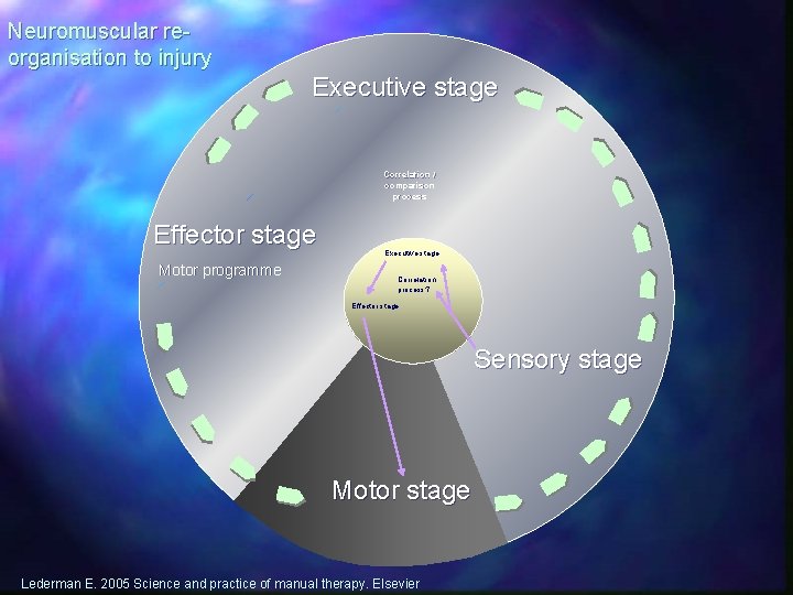 The Myth of Core Stability Prof Eyal Lederman