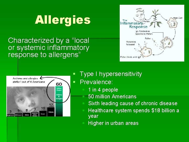Antihistamines Catherine Garrett Medicinal Chemistry Dr Buynak Allergies