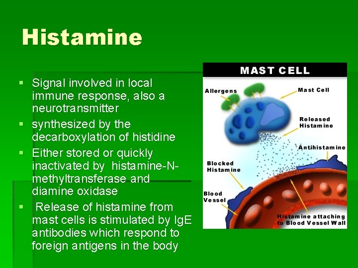 Antihistamines Catherine Garrett Medicinal Chemistry Dr Buynak Allergies