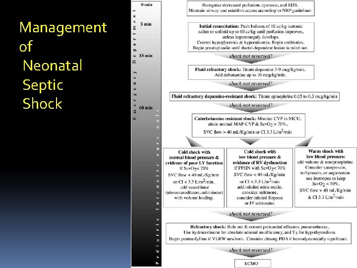Managing Severe Sepsis in Children and Neonates J