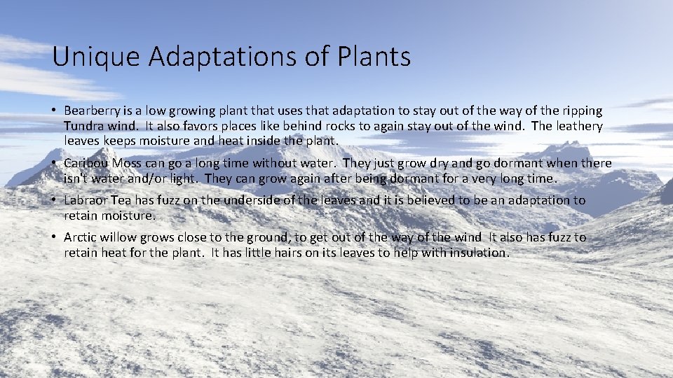 The Tundra Biome Science Project By Jaylin Henry