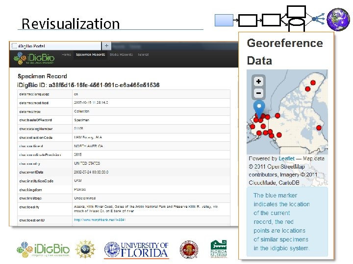 Pre Post Digitization Curation decisions opportunities options Deborah