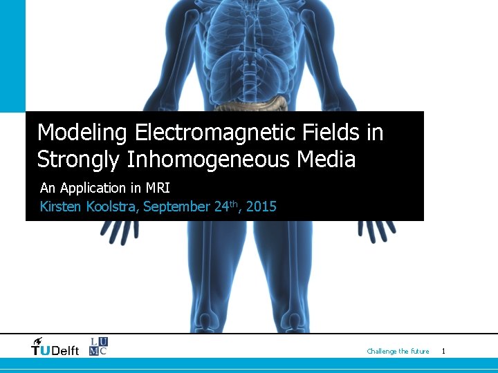 Modeling Electromagnetic Fields in Strongly Inhomogeneous Media An