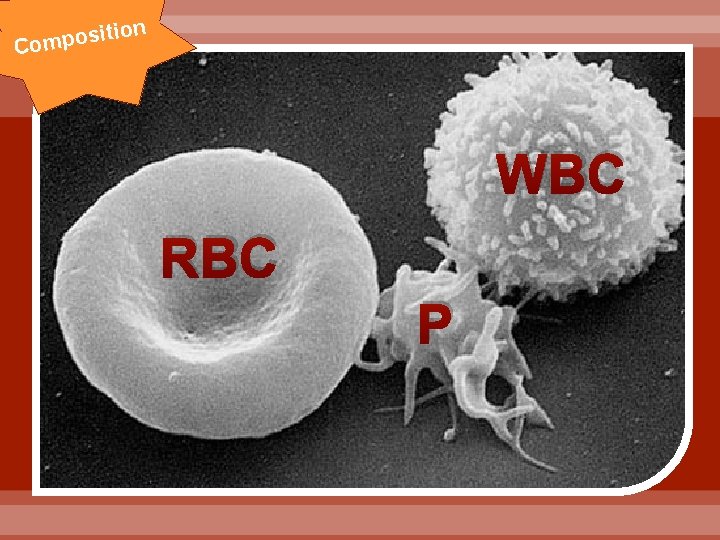 BLOOD CHAPTER 10 History of Blood Transfusion Play