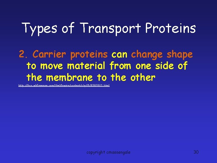 The Plasma Membrane Gateway to the Cell copyright