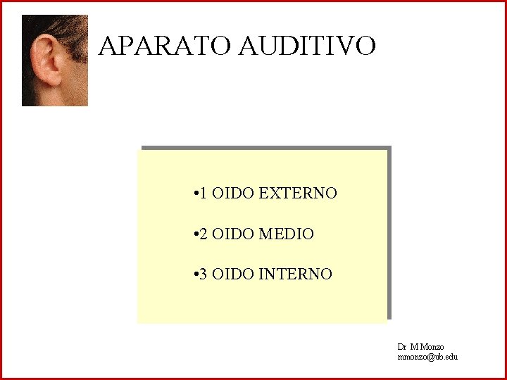 APARATO AUDITIVO 1 OIDO EXTERNO 2 OIDO MEDIO