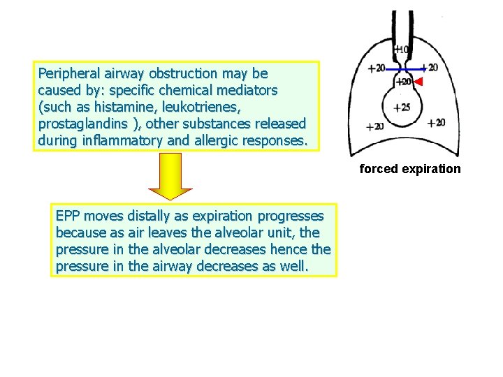 Respiratory Failure Respiration external respiration pulmonary ...