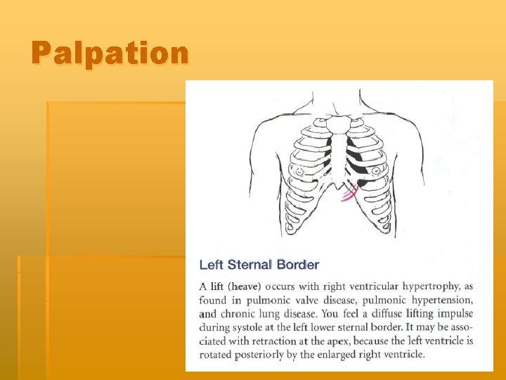 Assessment of Cardiovascular System By Inna Korda MD