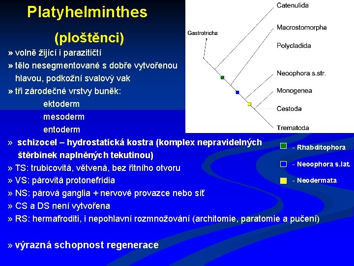 Systm a evoluce bezobratlch 4 cvien Zkladn znaky