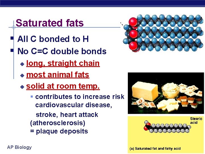 Lipids Fats Oils AP Biology Lipids long term