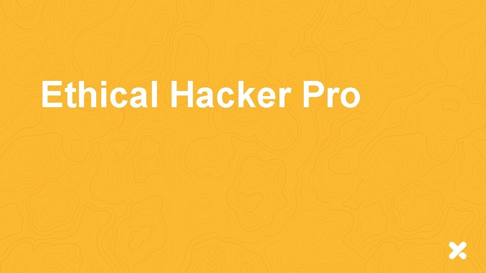 Ethical Hacker Pro IT Fundamentals Pro New Product