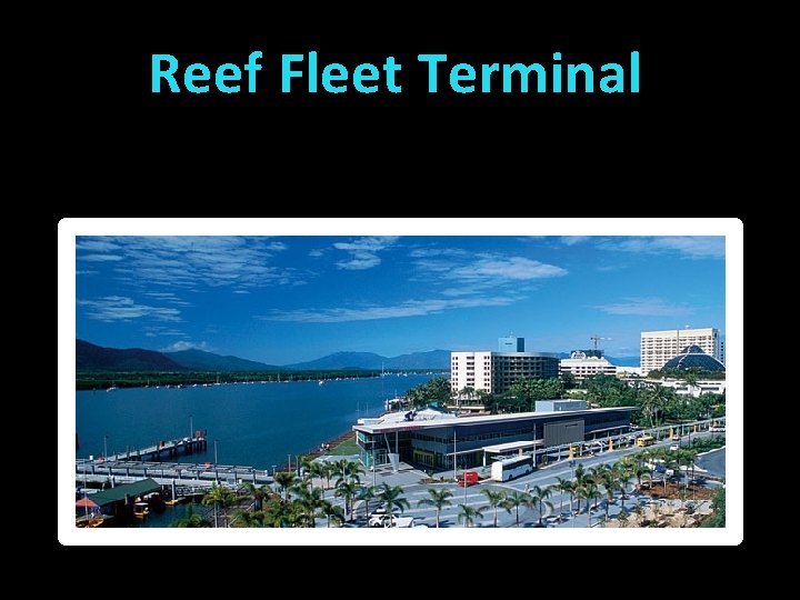 Great Barrier Reef Facts Larger than the Great