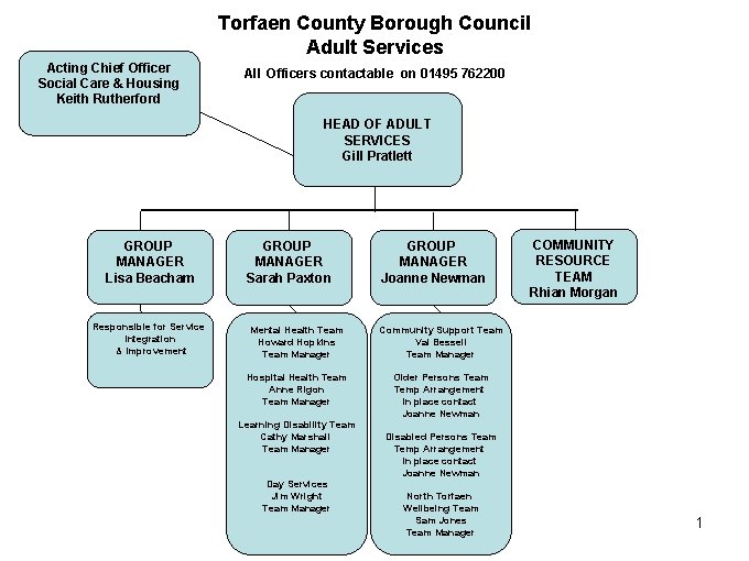 Torfaen County Borough Council Adult Services Acting Chief