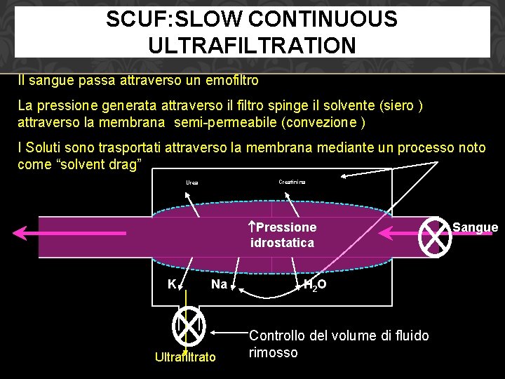 Lo scompenso cardiaco acuto dalla terapia diuretica allultrafiltrazione