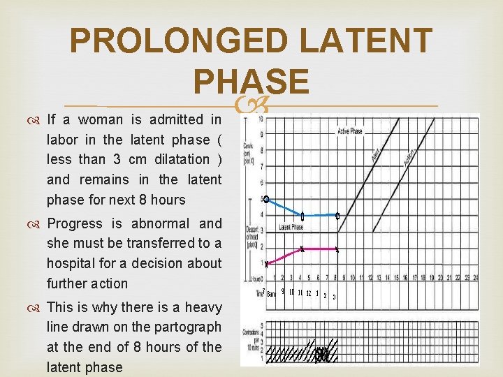 NITMED TUTORIALS THE WHO PARTOGRAPH PARTOGRAPH NITMED TUTORIALS NITMED TUTORIALS THE WHO PARTOGRAPH PARTOGRAPH NITMED TUTORIALS