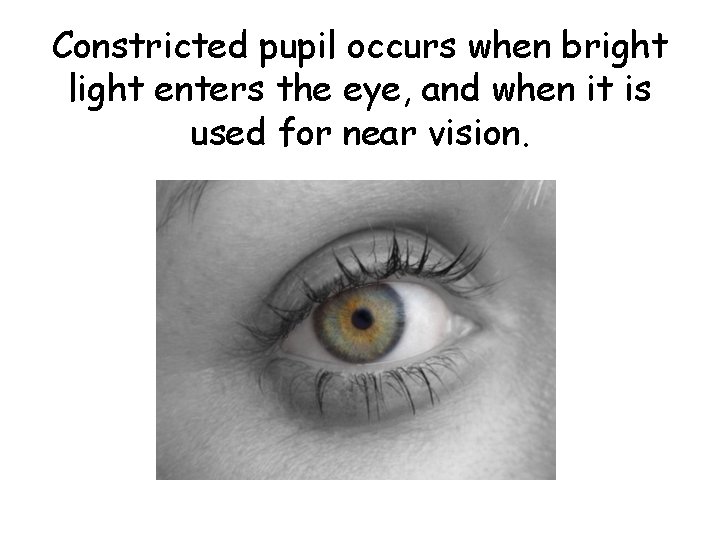 Week 4 Intracranial Regulation and Level of Consciousness