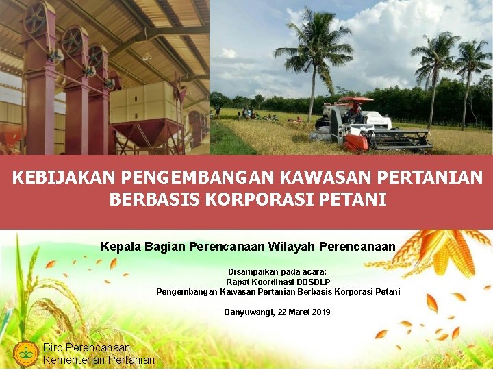 KEBIJAKAN PENGEMBANGAN KAWASAN PERTANIAN BERBASIS KORPORASI PETANI Kepala