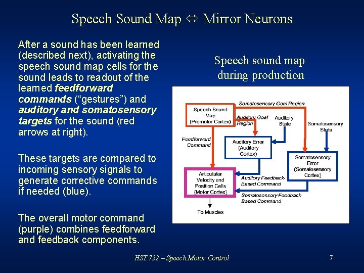 Auditory Somatosensory and Motor Interactions in Speech Production