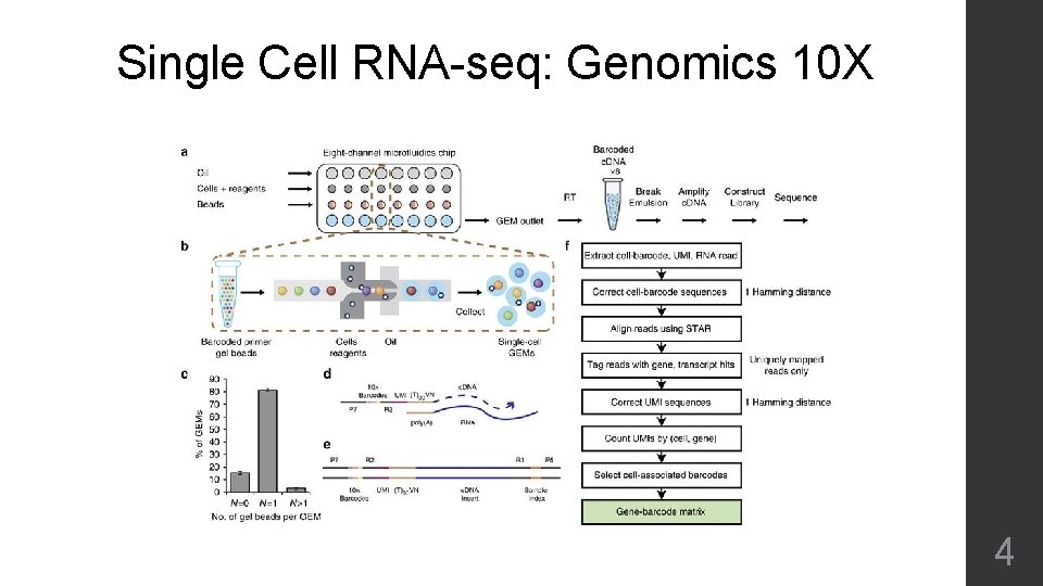 Singlecell Analysis Systematic Biology 2018 05 04 1