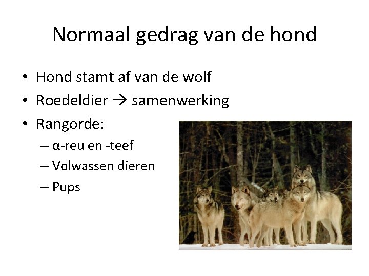 Gedrag Wat is gedrag Een opeenvolging van handelingen