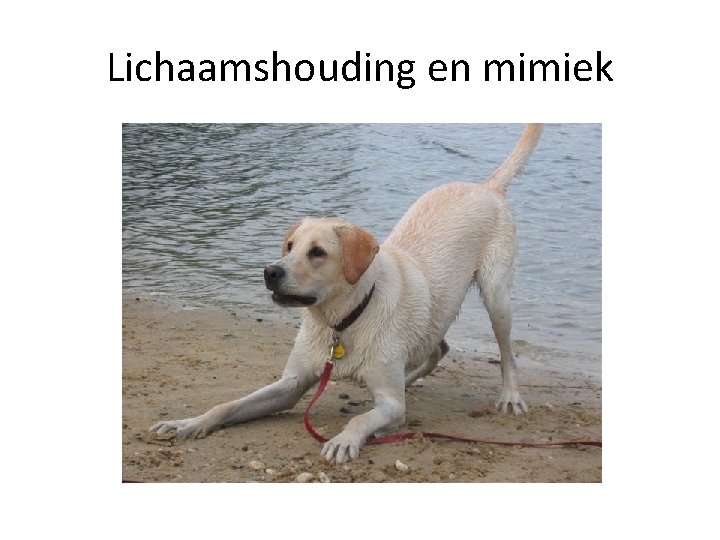 Gedrag Wat is gedrag Een opeenvolging van handelingen