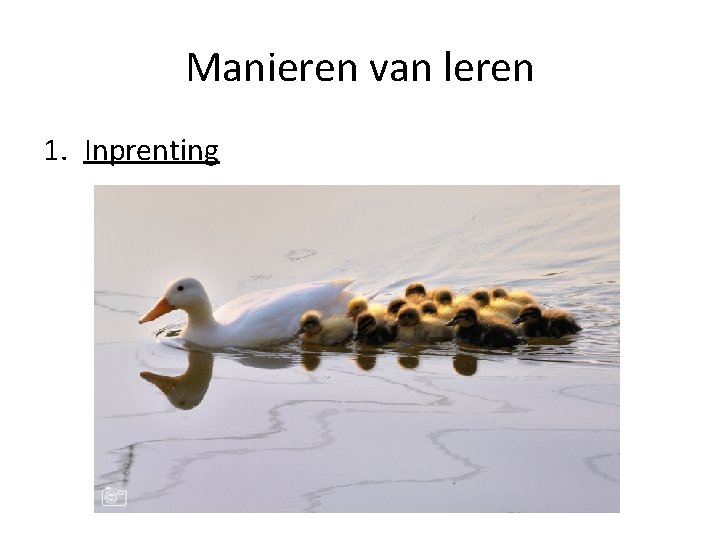 Gedrag Wat is gedrag Een opeenvolging van handelingen