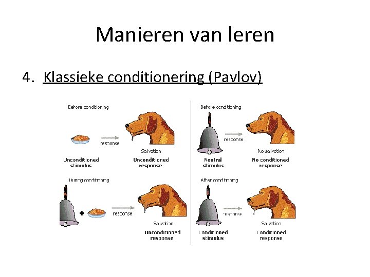 Gedrag Wat is gedrag Een opeenvolging van handelingen