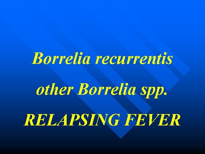 Borrelia Epidemiology of Borrelia Infections Borrelia recurrentis Borrelia