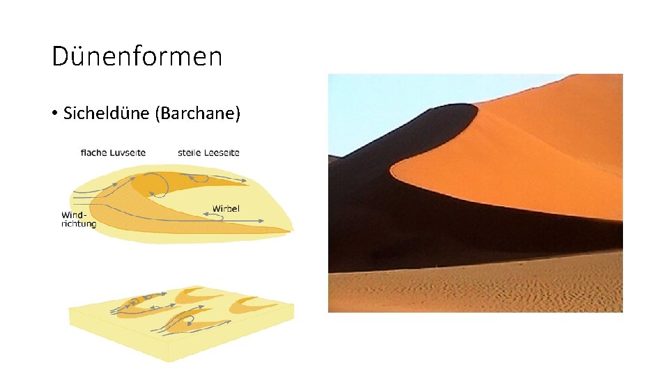 Wsten 1 Verbreitung von Wsten bersicht Wsten Kltewsten