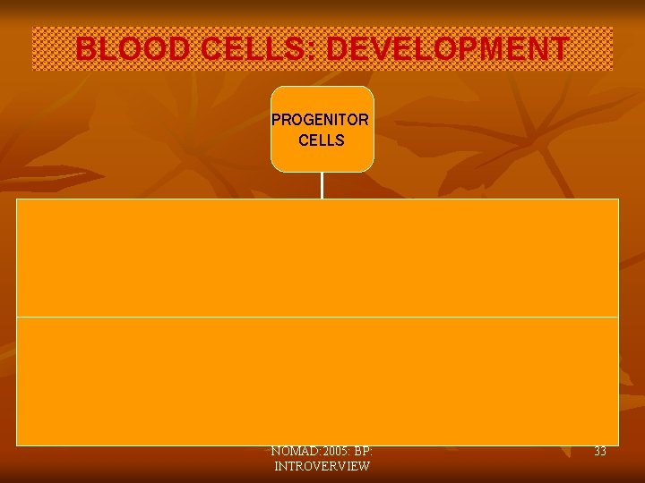 THE PHYSIOLOGY OF BLOOD AN INTRODUCTION AND OVERVIEW