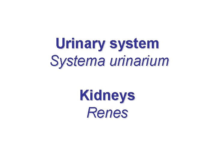 Urinary system Systema urinarium Kidneys Renes Overview of